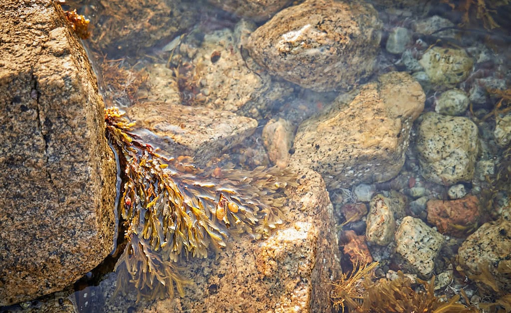 Our COVID-19 protocols | Oceanstone Seaside Resort